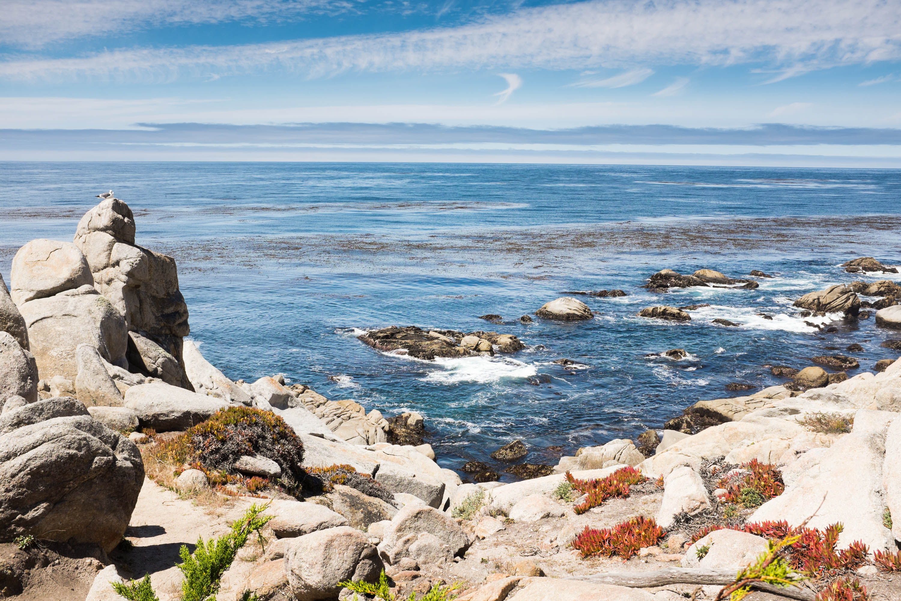 A Quick Guide To 17 Mile Drive in Pebble Beach, California