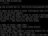 Apache Https Server Configure Simplificando Redes