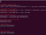 Python Show My Tcp And Udp Ports Simplificando Redes