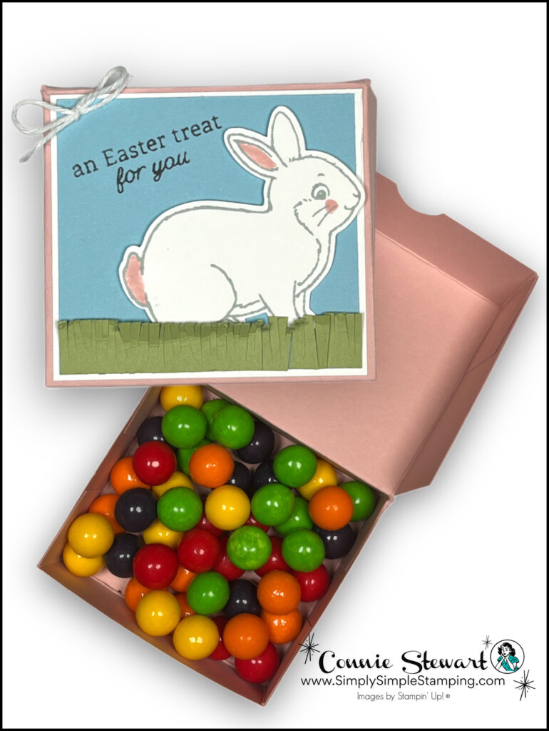 DIY Snack Boxes Only Take 10 Quick Minutes to Make