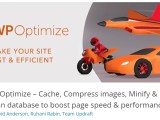 16 Wordpress Performance Optimization Tools