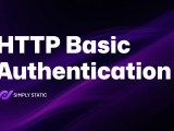 What Is Http Basic Authentication How To Use In Wordpress