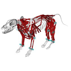 Simbody Simtk Subsystem Class Reference - Sunset Images - Stunning Mobile Collection