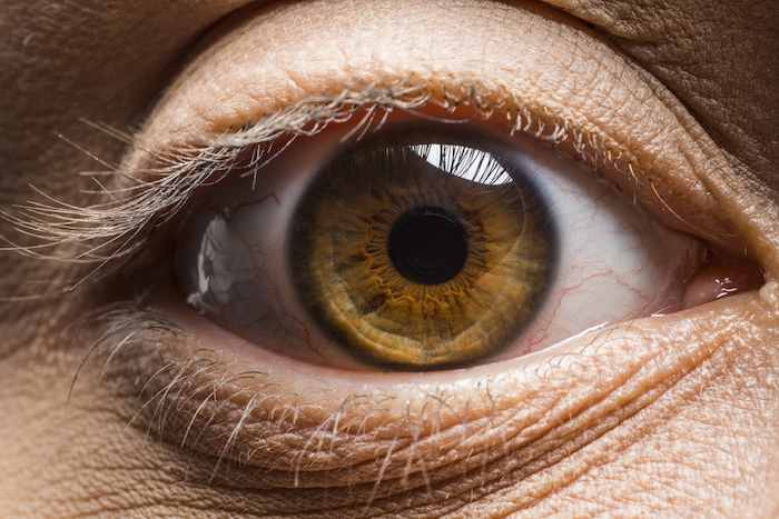 Primerísimos planos muestran la diversidad del ojo humano (FOTOS ...