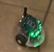 Rat Brain Robot Grows Up | Void Warranties