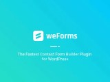 V1 3 17 Weforms Pro Business