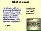 What Is Java