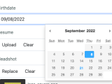 Date Picker Field Sixgweb Documenation