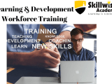 Skillwise Academy S Learning And Development Workforce Development
