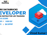 Azure Data Engineer Databricks Developer Skillanything Learn