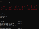 How To Download And Install The Angular Command Line Interface Cli