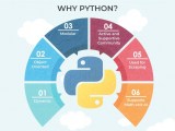 Python Tutorial Python Programming Language Skill101
