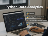 Python Data Analysis Certification Program Skill Upgrow