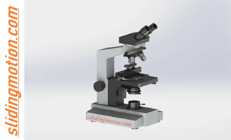 Complete Guide on 16 Essential Microscope Parts: Labled Diagram