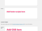 Custom Scripts And Styles Slocum Themes