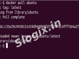 How To Run A Basic Ubuntu Container In Docker And Perform Basic Linux
