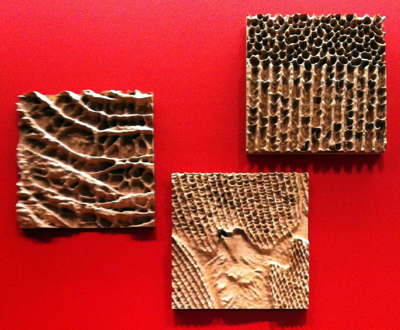 Neri Oxman and Materialecology - Slow Muse