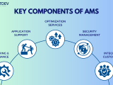 Application Management Services Ams Expert Guide For It Success