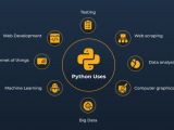 Master The Best Python Backend Frameworks For 2025