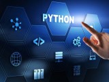 Python O Que é E Para Que Serve Smarter Execution
