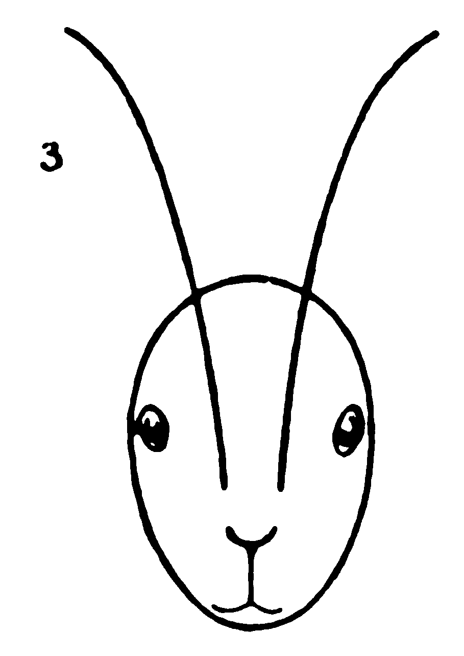 How to draw a Rabbit face - step by step drawing for beginners - Smart ...