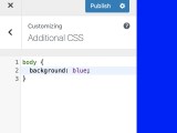 How To Add Custom Css To Your Wordpress Site Beginner S Guide