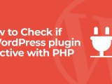 Wp Cli Commands To Quickly Update Wordpress Sites 2026