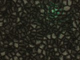 Normal Mapped Lighting For 2d Sprites In Futile For Unity Smashriot