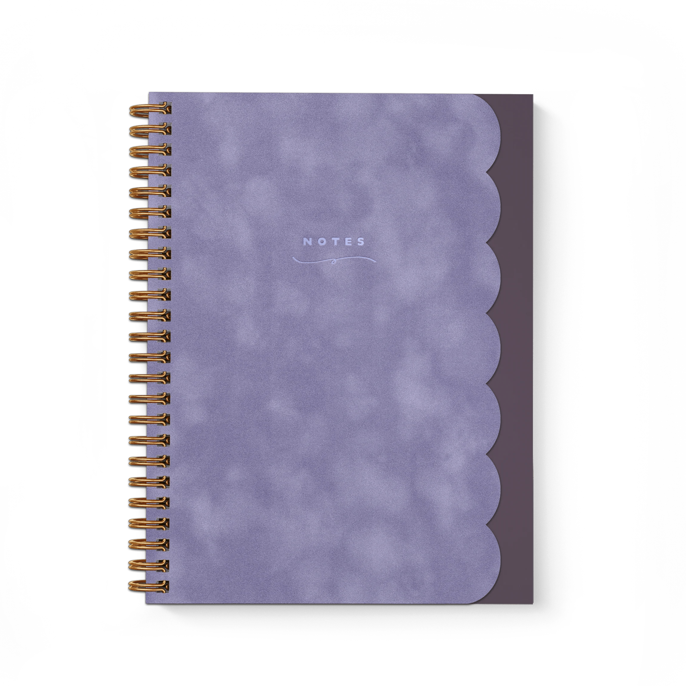Scallop Notebook In Nightshade Smitten On Paper