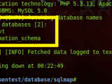 Website Hacking Using Sqlmap Smt Group