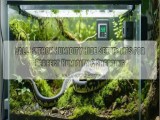 Ball Python Humidity Hide Setup Tips For Perfect Humidity Shedding