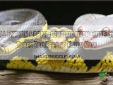 Ball Python Morph Identification Guide 50 Types You Need To Know Now