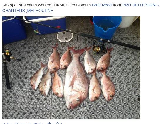 Snapper fising rigs | wholsale fishing tackle | cheap online fishing ...