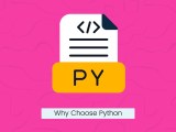 Javascript Vs Python For Web Development 2024