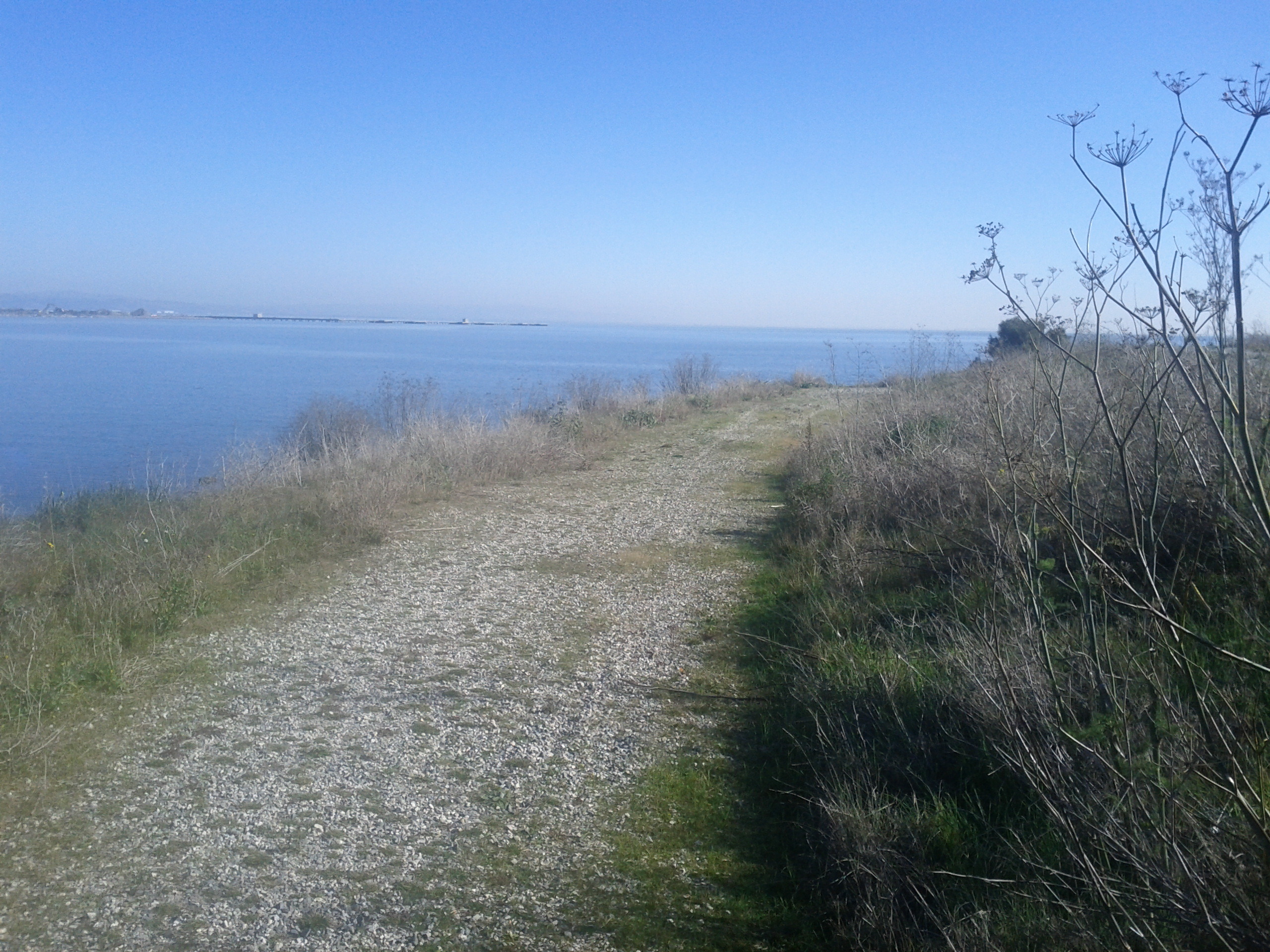 Running at Candlestick Point | snarfed.org