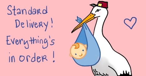 Stork Identification: A Helpful Guide to Baby Prediction - Sneer Campaign