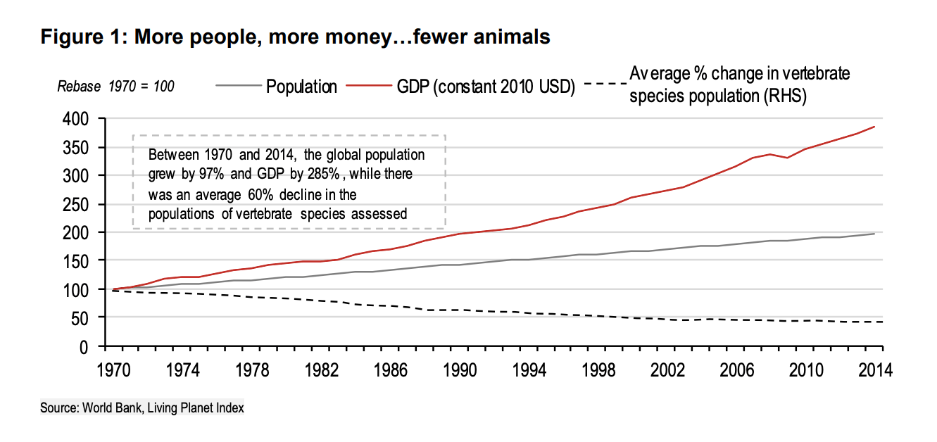 Decline in Animals | Snippet Finance