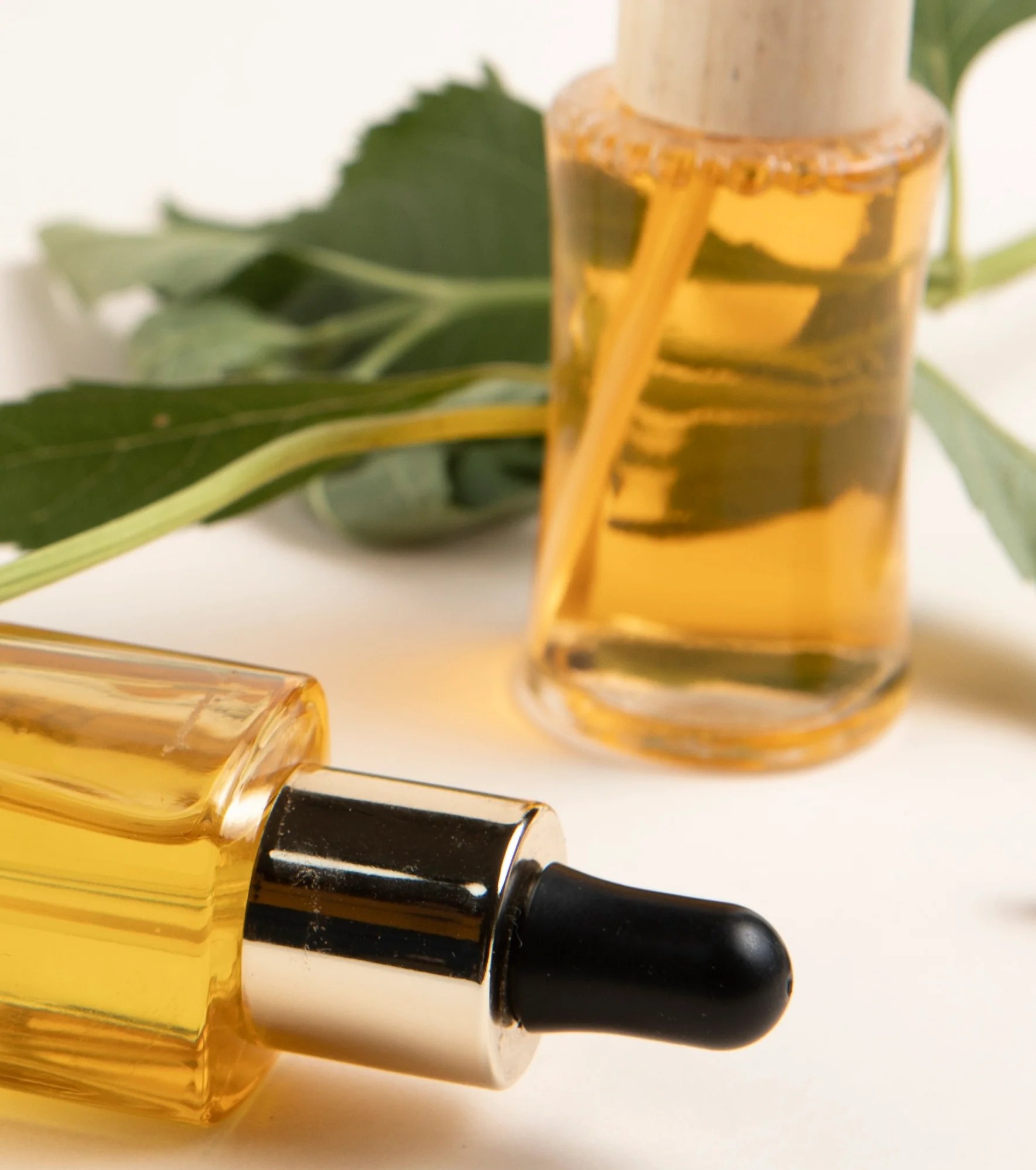 Creamy Rose Loofah Soap Pack Of 10 Soapymania