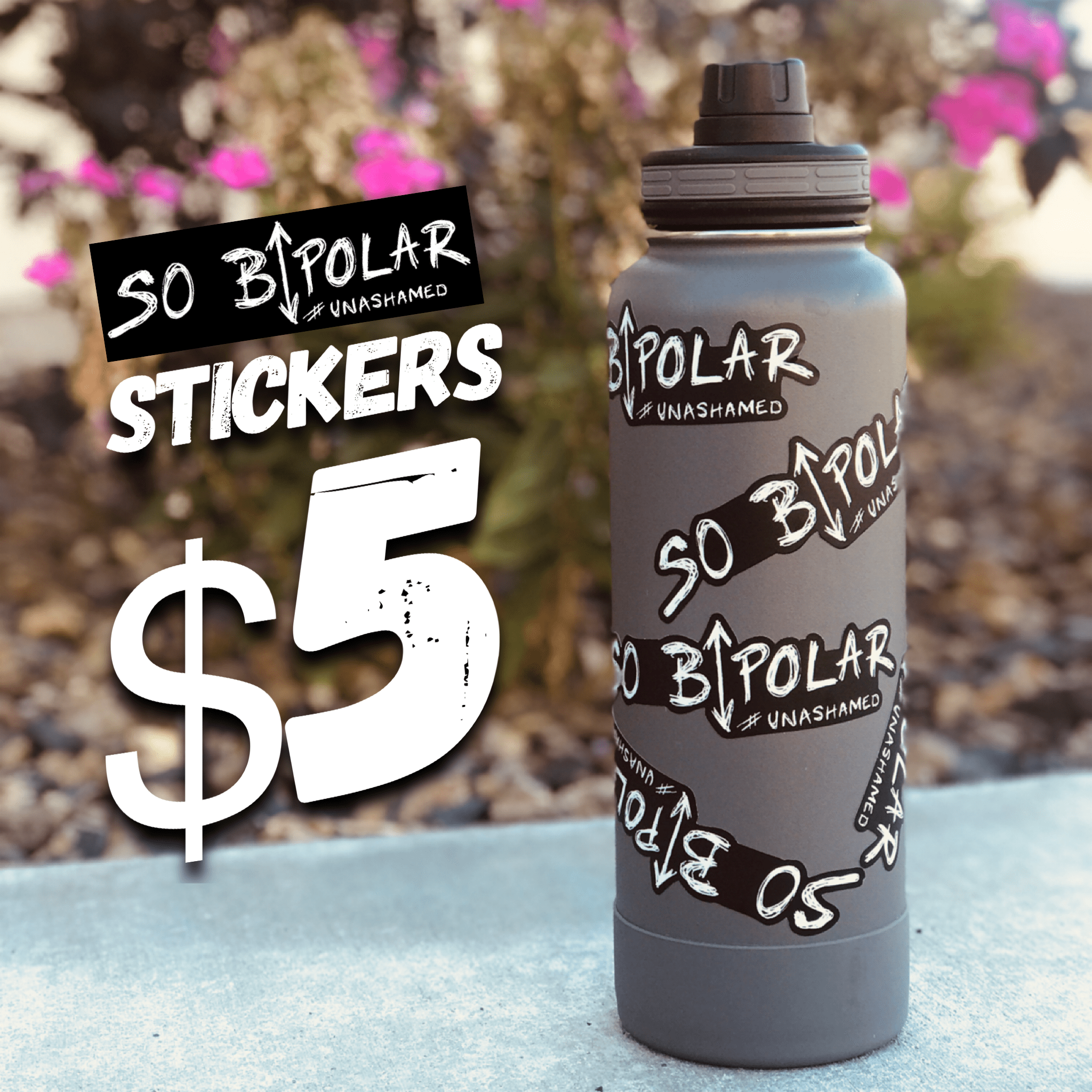 Shop – Bringing Order to Bipolar Disorder