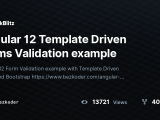 Angular 12 Template Driven Forms Validation Example Stackblitz