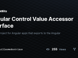 Angular Control Value Accessor Interface Stackblitz
