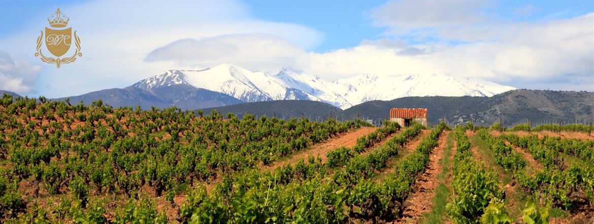 2015 Domaine Rety L’Insolente Côtes du Roussillon Rouge, France ...