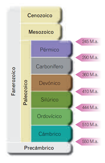 PALEOZOICO – BIOLOGÍA y GEOLOGÍA