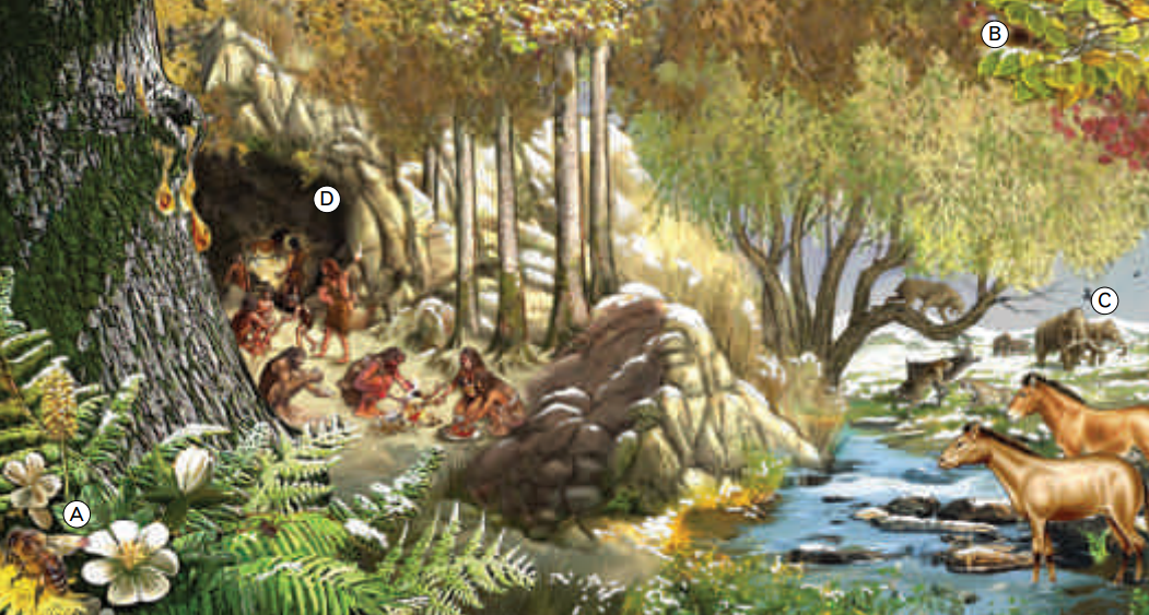 ERA CENOZOICA – BIOLOGÍA y GEOLOGÍA