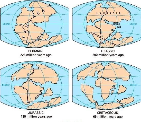 EL MESOZOICO – BIOLOGÍA y GEOLOGÍA