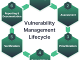 What Is The Vulnerability Management Lifecycle Soc Prime