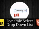 Dynamic Html Select Drop Down List Using Javascript