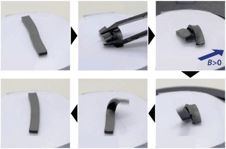 The Future of Shape-Memory Polymers: Just Add Water and Glycerol ...