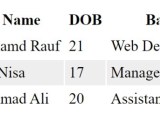 Html Table Border Cabinets Matttroy