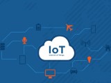 Iot Development Services Offered By Softech Romania